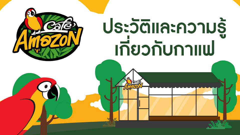 ประวัติความรู้เกี่ยวกับกาแฟ - Cafe Amazon Academy